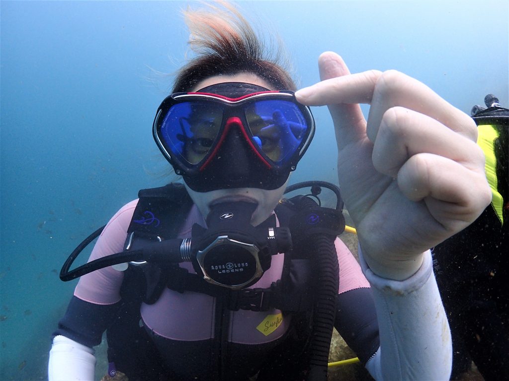 P5311736 | 東京ダイビングの'ダイビングハウストラウムスクーバ'